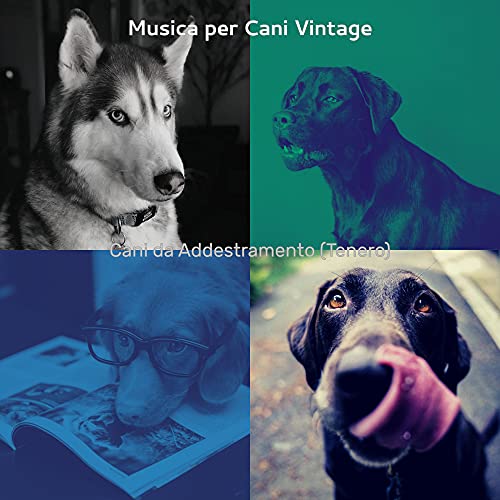 Cani da Addestramento (Tenero) de Musica per Cani Vintage en Amazon ...