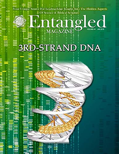 Entangled Magazine: Your Unique Source For Leading-Edge Insights Into ...
