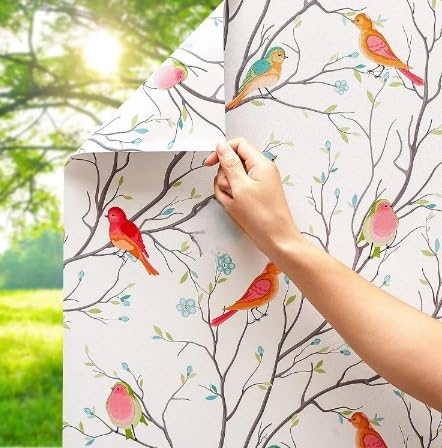 Buy SIA VENDORS Privacy Window Film, Frosted Window Sticker Bird ...