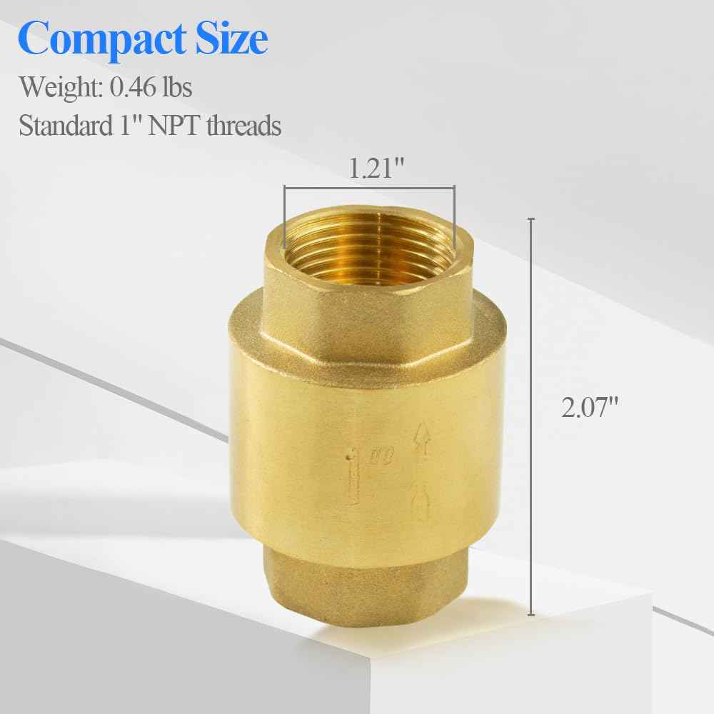 Snapklik.com : WiseWater Vertical Spring Check Valve, 1 NPT Thread ...