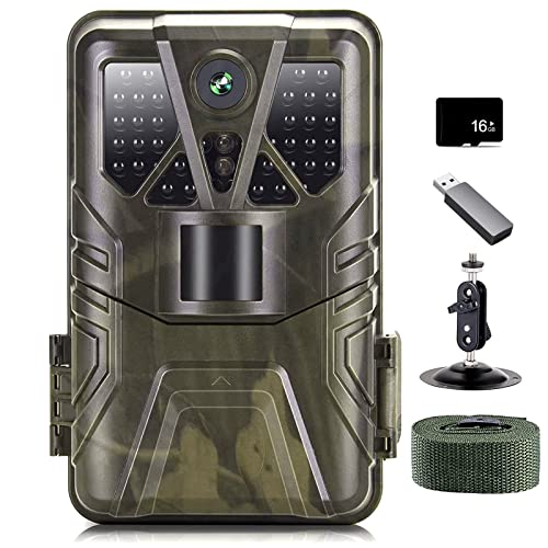 5 Best Wildlife Trail Cameras Under £50 | Campfire Magazine