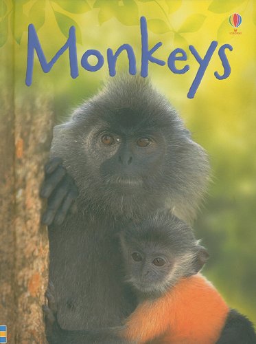 Monkeys (Usborne Beginners): Bowman, Lucy: 9780794529789: Amazon.com: Books