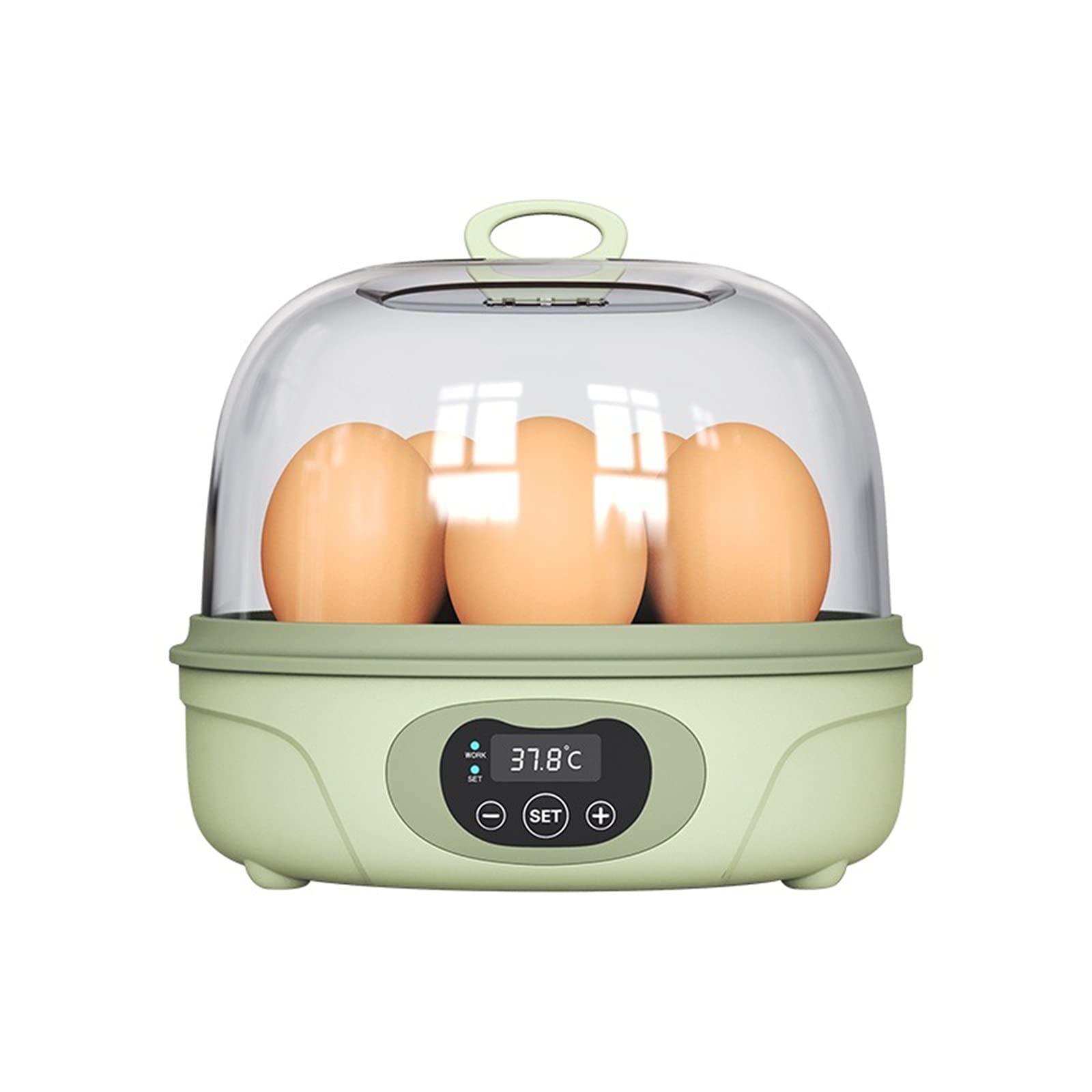 Buy Transparent Mini Egg Incubator, 6 Eggs Hatcher Automatic Poultry ...