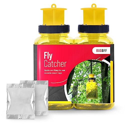Best Fly Killer for Home UK - Internet Eyes