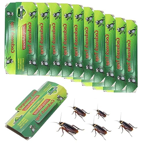 Insecticida Phantom en Leroy Merlin: ¡Mantén tu hogar libre de plagas ...