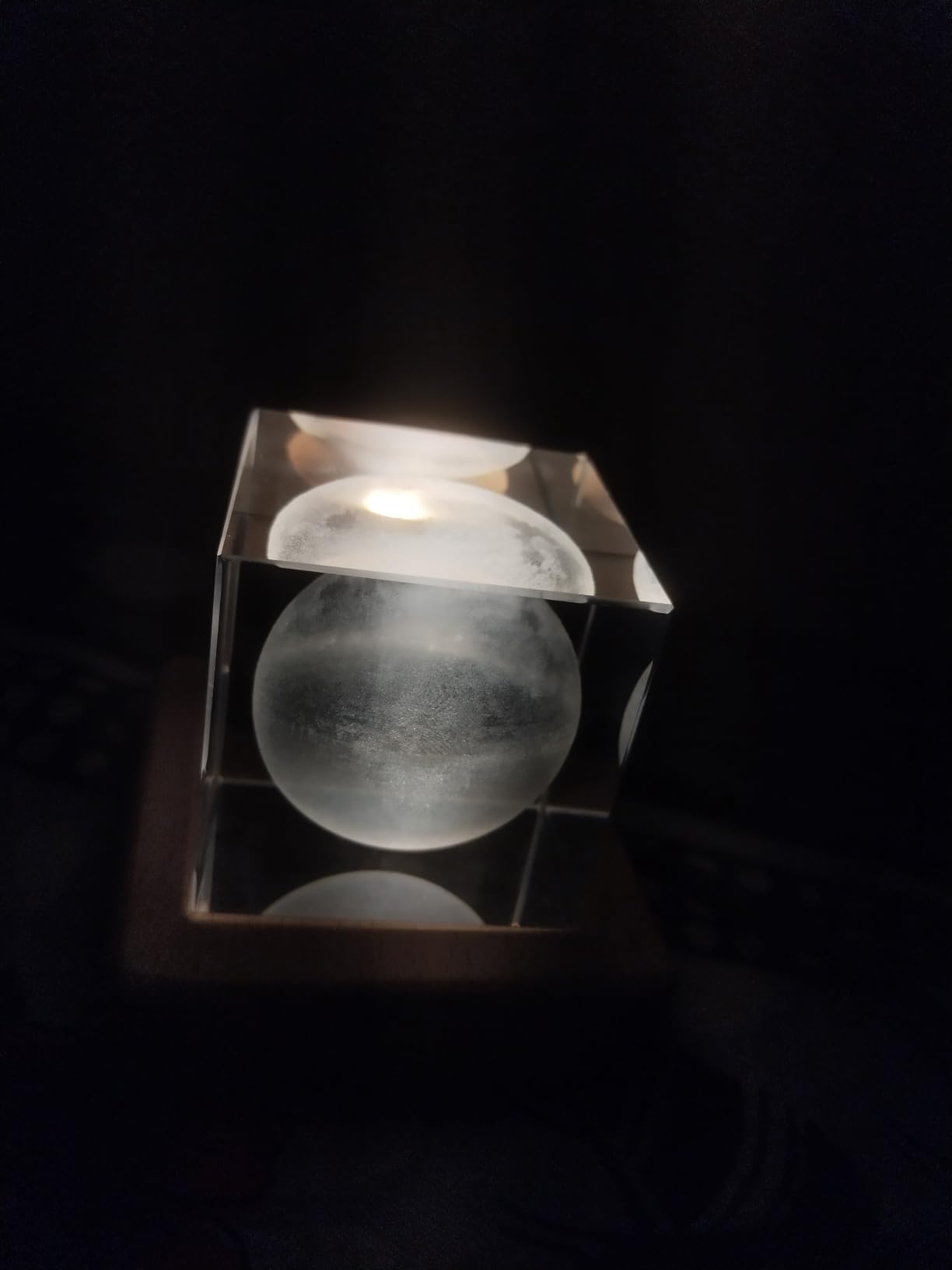 Buy The White Parrot Motion Sensor Light for Home with USB Charging ...