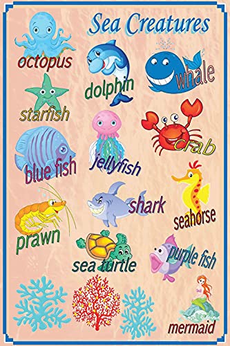 Buy Kids Educational Wall Chart for Children|Sea Creatures| For Play ...