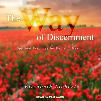 The Way of Discernment: Spiritual Practices for Decision Making ...