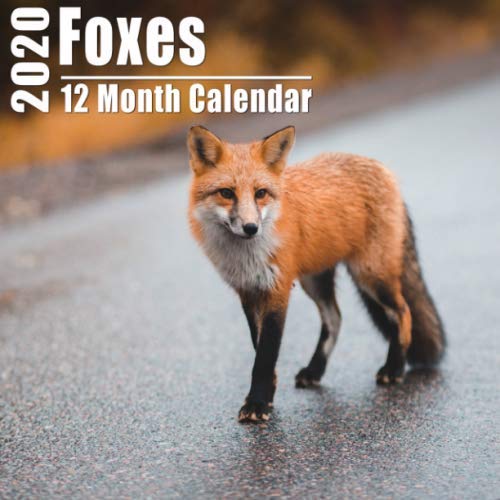Foxes Small Calendar 2020: Cute Fox Photos Mini Monthly Calendar With ...
