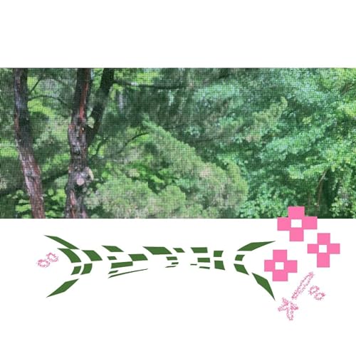 Amazon.co.jp: petal (demos) : Ethan BENJAMIN: デジタルミュージック