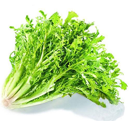 Amazon.com : Original Pack 5g 1900+pcs Yellow Heart endive,Wild ...