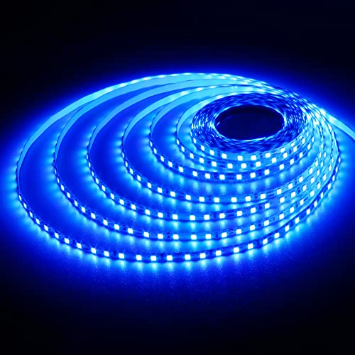 24V Blue LED Strip | LED Moment