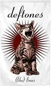 Amazon.com : DAOOPS DEFTONES tapestry cloth poster 3x5ft wall decor ...