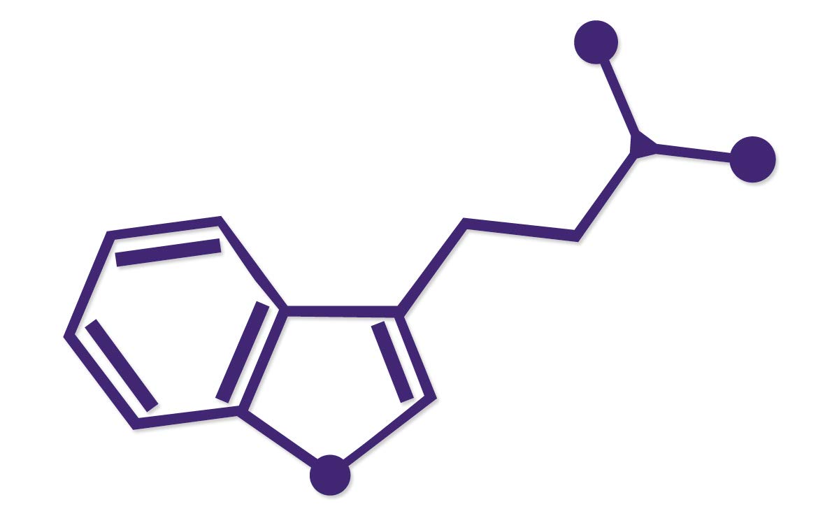 Dimethyltryptamine Molecule Structure