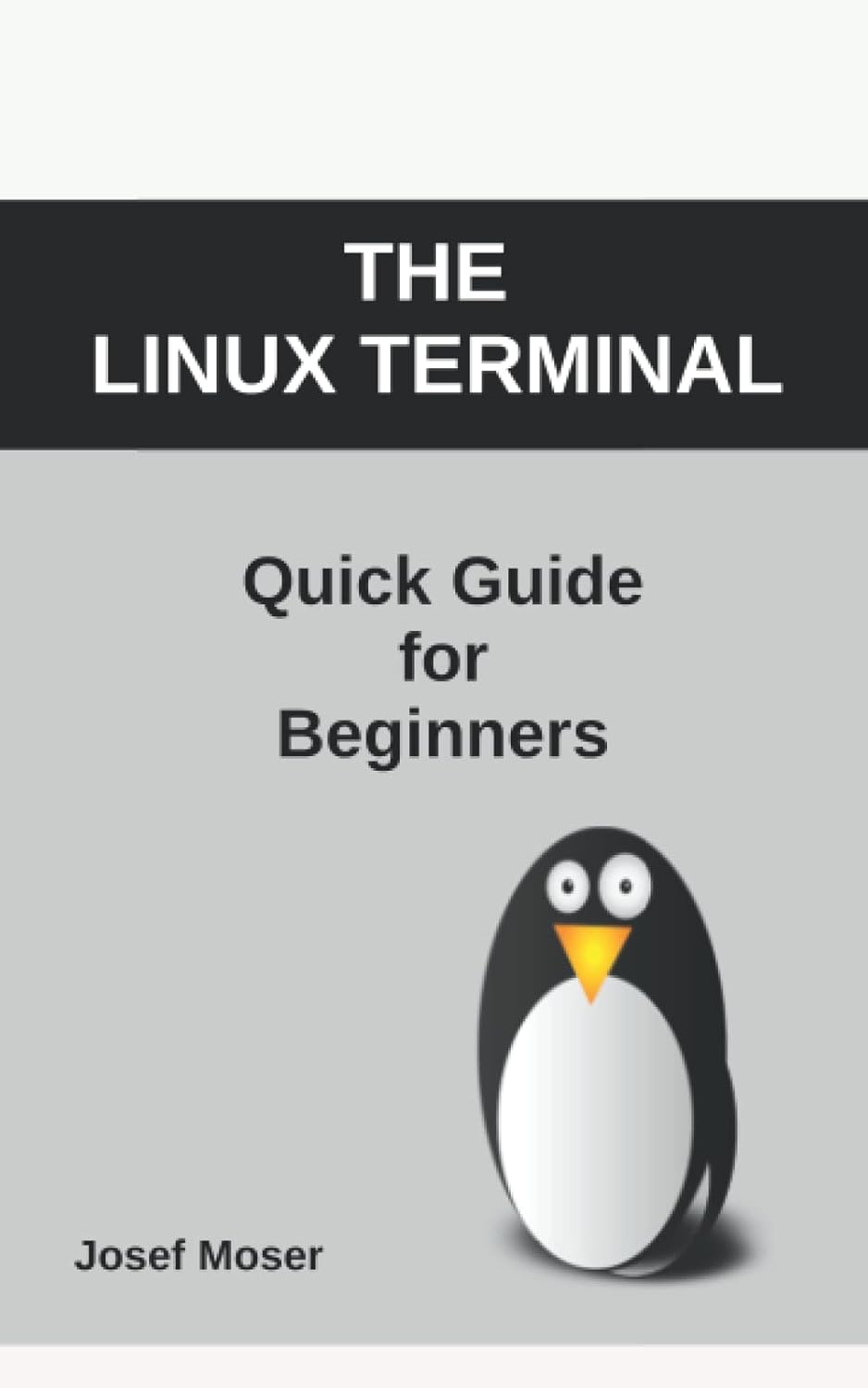Amazon.com: The Linux Terminal: Quick Guide for Beginners ...