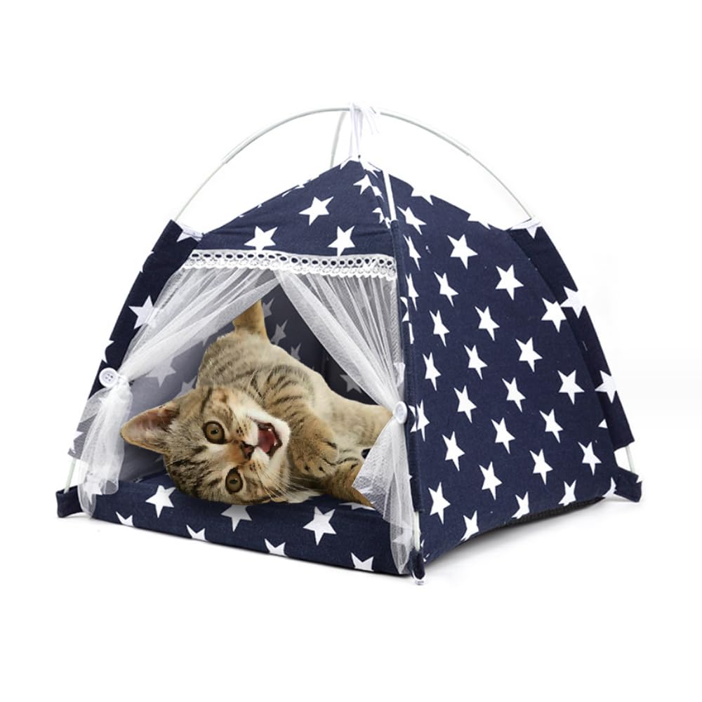 Kitten Tent