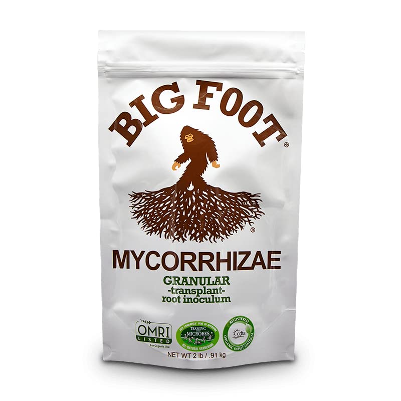 Buy BIG FOOT GRANULAR (2 lb )Mycorrhizae Fungi Inoculant with Food ent ...