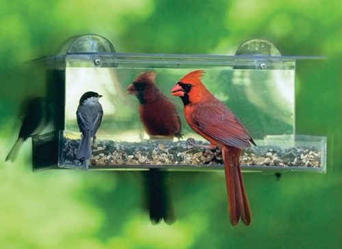 Amazon.com : Duncraft 74205 Cardinal One Way Mirror Window Bird Feeder ...