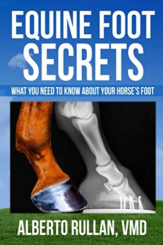 Equine Foot Secrets: What you need to know about your horse’s foot ...