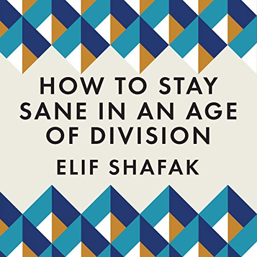 Amazon.com: How to Stay Sane in an Age of Division (Audible Audio ...