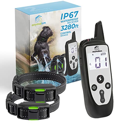 Types de colliers pour chiens – Les 15 meilleurs produits comparés ...