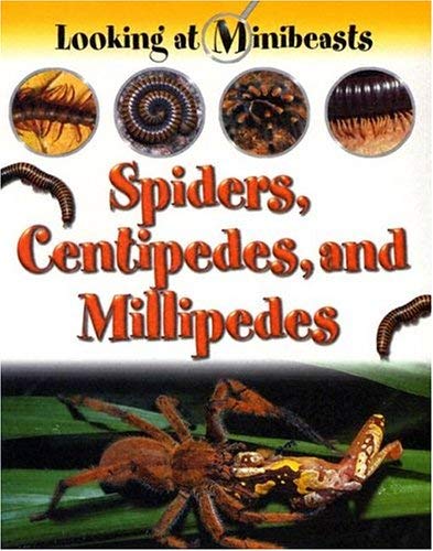 Spiders, Centipedes, and Millipedes (Looking at Minibeasts): Sally ...