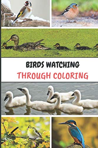 Birds Watching Through Coloring: Colouring Book | Guide to birds with ...