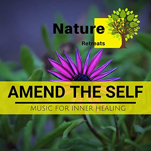 Amazon.com: Amend the Self - Music for Inner Healing : Yoga Music ...