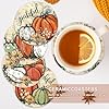 Amazon.com: Generic 4Pcs Fall Coasters Retro Pumpkin Ceramic Drink ...