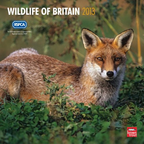 Wildlife of Britain 2013 Calendar: Amazon.co.uk: BrownTrout Publishers ...
