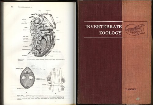 Invertebrate Zoology: Books - Amazon.ca