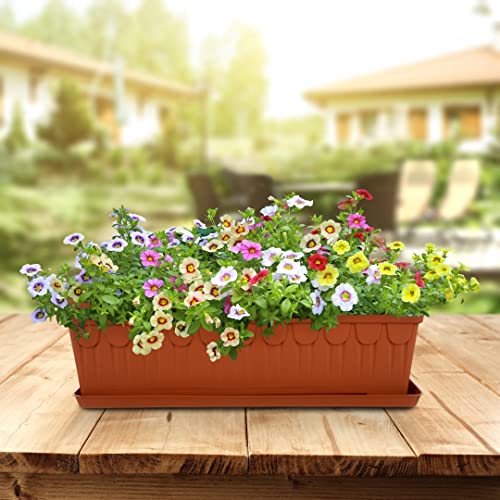 Home Garden Ornaments Plant Pot Saucers 46cm Terracotta Set of 5 Plant ...