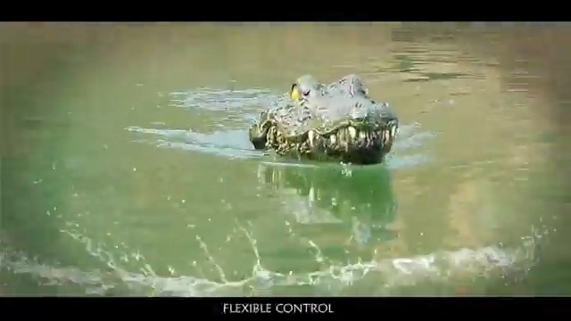 Watch remote control alligator head crocodile head remote boat on ...