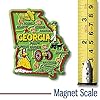 Amazon.com: Georgia Colorful State Magnet by Classic Magnets, 2.8" x 3. ...