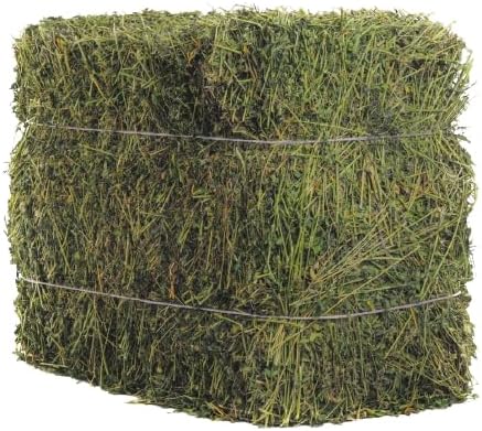 agrar-Store 7Kg Heu Heuballen Wiesenheu 1.Schnitt Futterheu ...