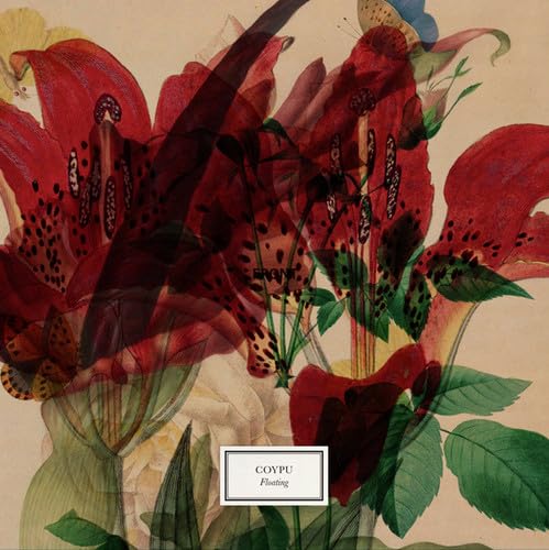 Amazon.com: Floating: CDs & Vinyl