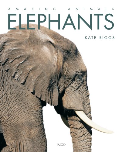 Elephants (Amazing Animals) eBook : Riggs, Kate: Amazon.in: Kindle Store
