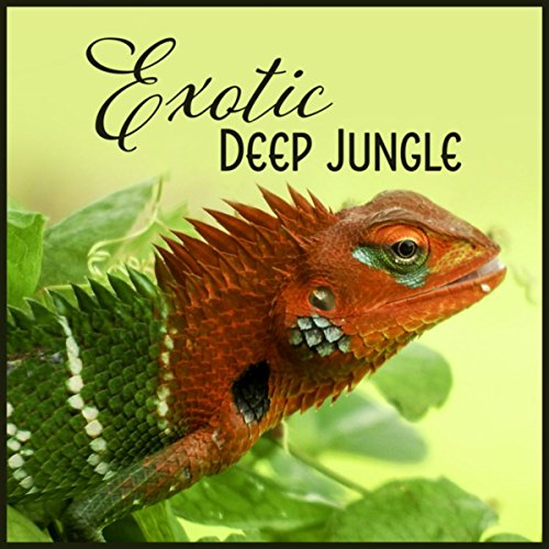 Play Exotic Deep Jungle (Tropical Rainforest Sounds for Relaxation) by ...