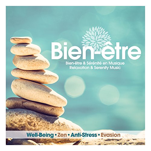 Play Bien-être by Nicolas Dri, Thierry Noritop & Michael Goldberg on ...