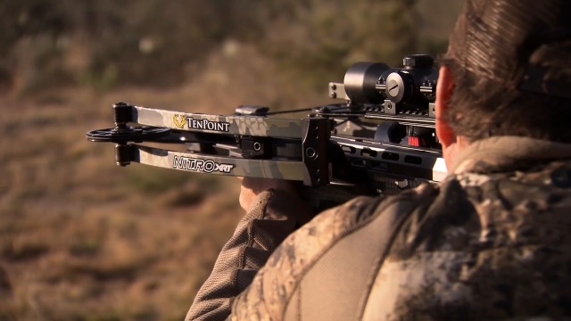 Watch TENPOINT Turbo M1 Crossbow Package with Pro-View Scope on Amazon Live