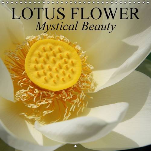 Amazon | Lotus Flower - Mystical Beauty 2016: Symbol of awakening to ...