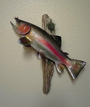 Amazon.com: Marc DeMott Rainbow Trout Sculpture Wall Mount : Home & Kitchen