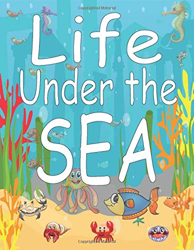 Life Under The Sea: Ocean Animals, Sea Creatures & Underwater Marine ...