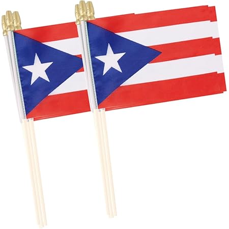 Amazon.com: 25 Pack Hand Held Small Mini Flag Puerto Rico Flag Puerto ...