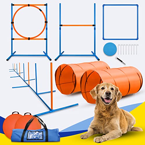 Amazon Best Sellers: Best Dog Agility Equipment
