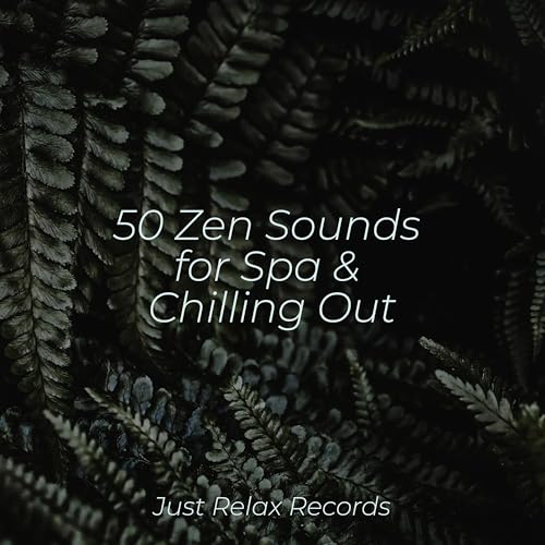 Spiele 50 Zen Sounds for Spa & Chilling Out von Exam Study Classical ...