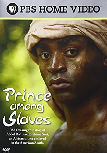 Amazon.com: Prince Among Slaves [DVD] [2008] [US Import] : Movies & TV