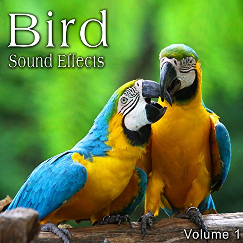 Amazon.com: Bird Sound Effects, Vol. 1 : The Hollywood Edge Sound ...