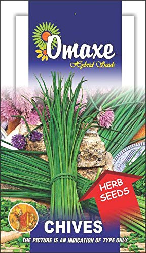 Chives Herb Herb Seeds Kitchen Garden Packet sold by Kitchen Garden Hub ...