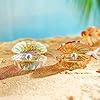 Amazon.com: H&D HYALINE & DORA Crystal Seashell Figurine Seashell Decor ...